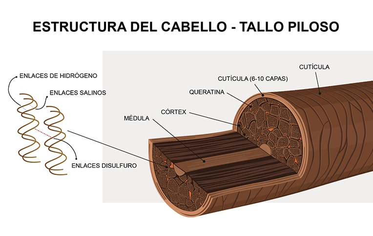 ¿Qué es un tratamiento de reconstrucción capilar y funciona realmente ...