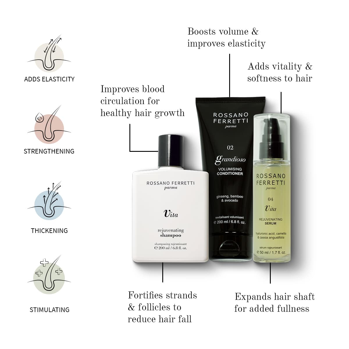 Men's Anti Hair Fall Routine | Rossano Ferretti